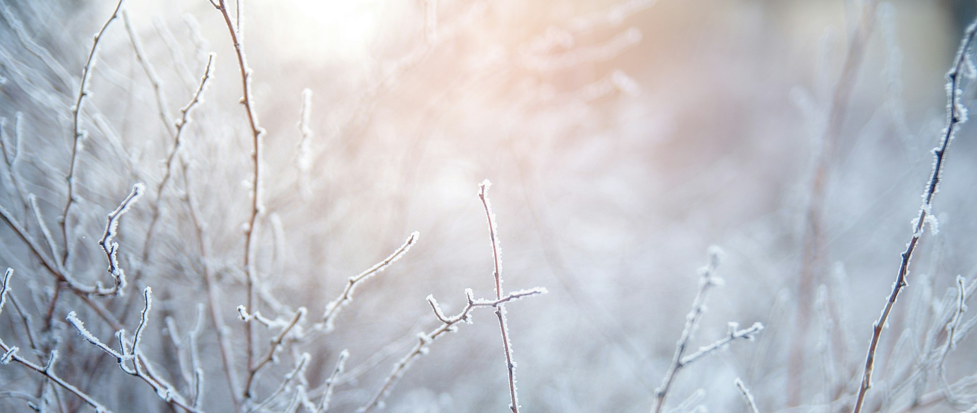 Inclement Weather Policy Reminder – Rock Solid Christian Academy